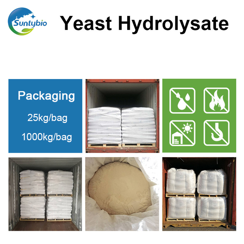 Yeast Hydrolysate (Saccharomyces cerevisiae)