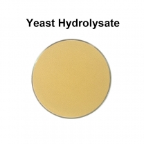 Yeast hydrolysate_Focus On Animal Nutrition Animal Health